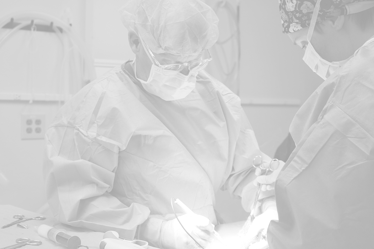Oncology Surgical Care Center Veterinarians Emergency
